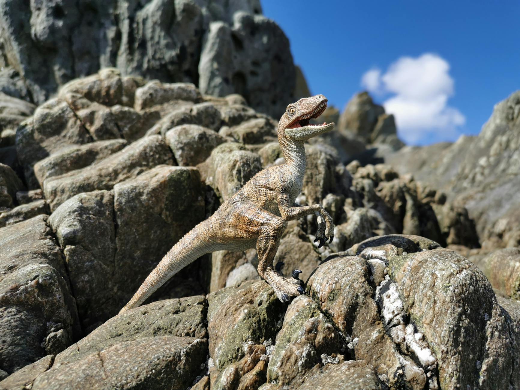 The Neophyte - hpkomics.com